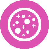 Bioarray | Genetic Research - Bioarray